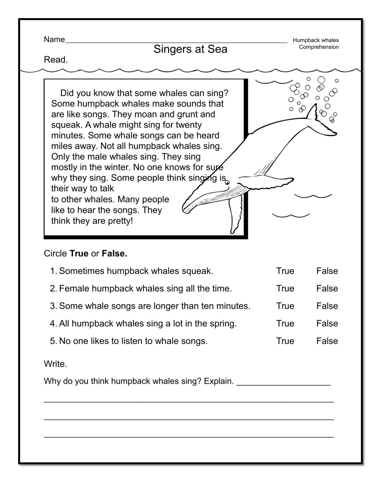 12 Good Examples Of 1st Grade Worksheets Free Download Worksheet Hero