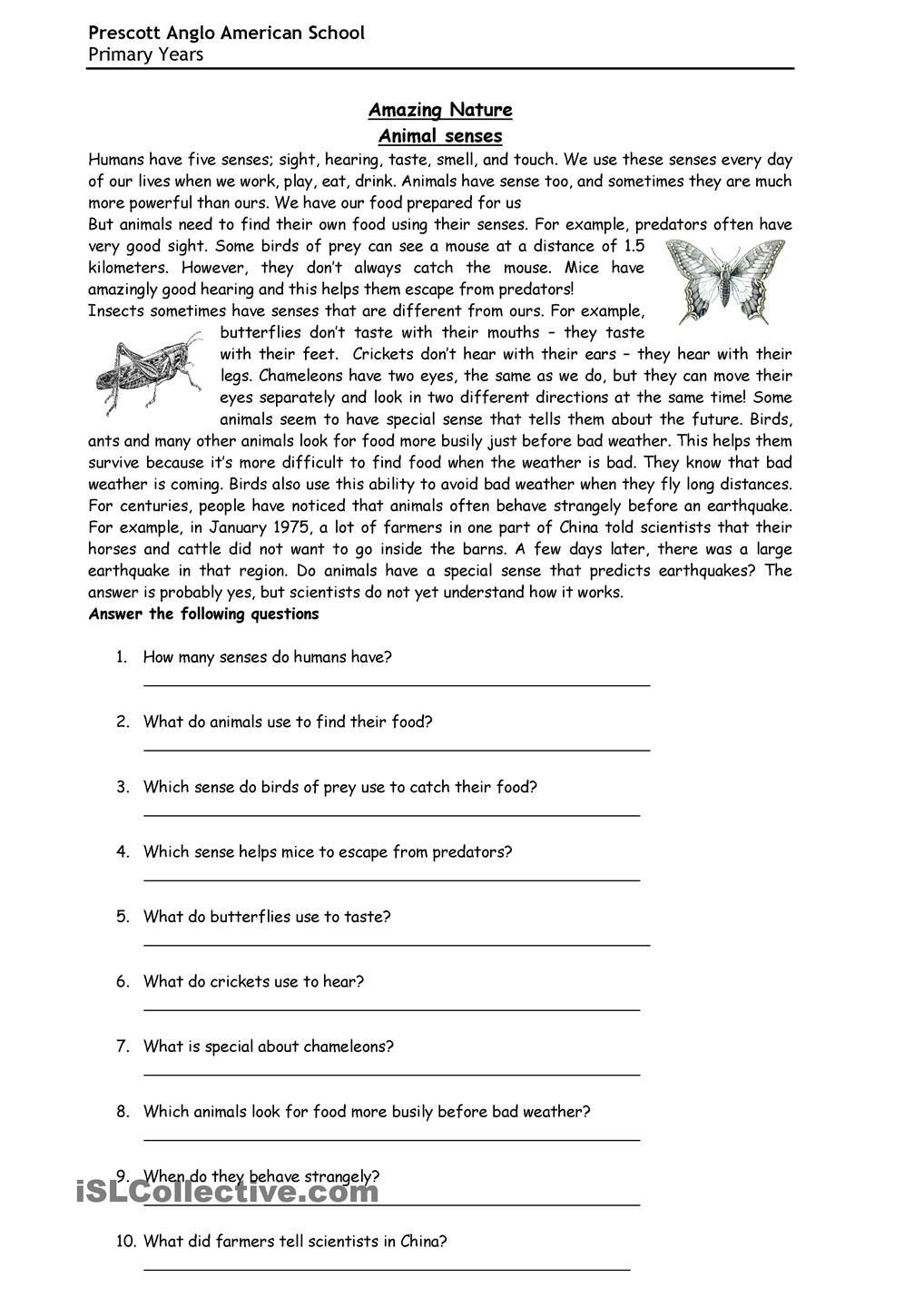 Grade 9 Reading Comprehension Worksheets Worksheets Worksheet Hero
